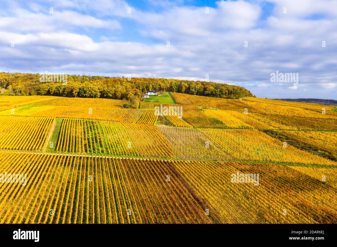 Walluf High Resolution Stock Photography and Images - Alamy