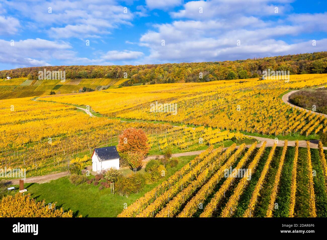 Walluf hi-res stock photography and images - Alamy