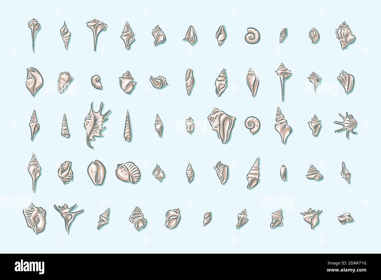 Seashell, shell, sea, mollusk, shellfish, nautical illustration Stock ...