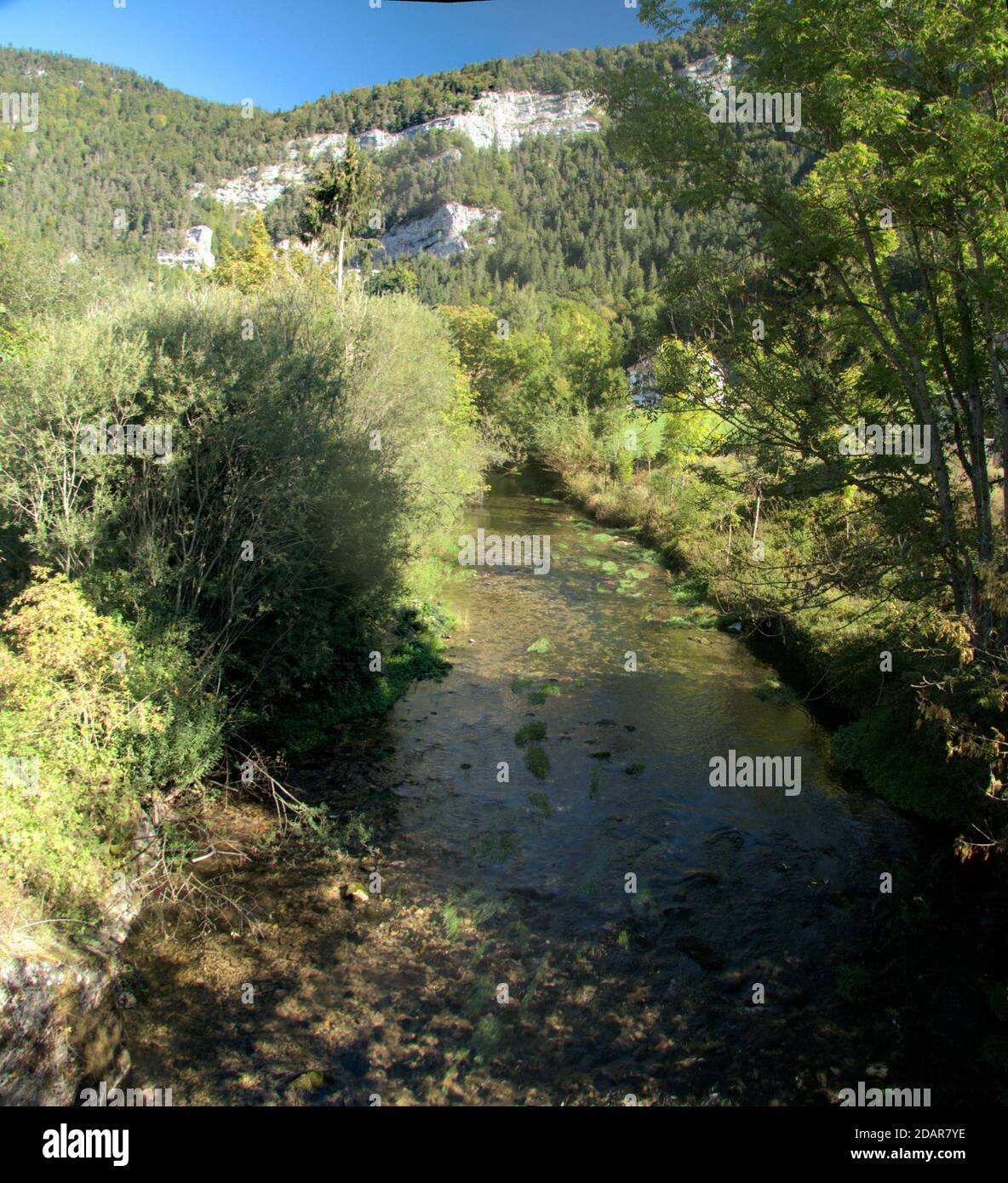 Chalk stream near the cave system in Baar, Switzerland Stock Photo - Alamy
