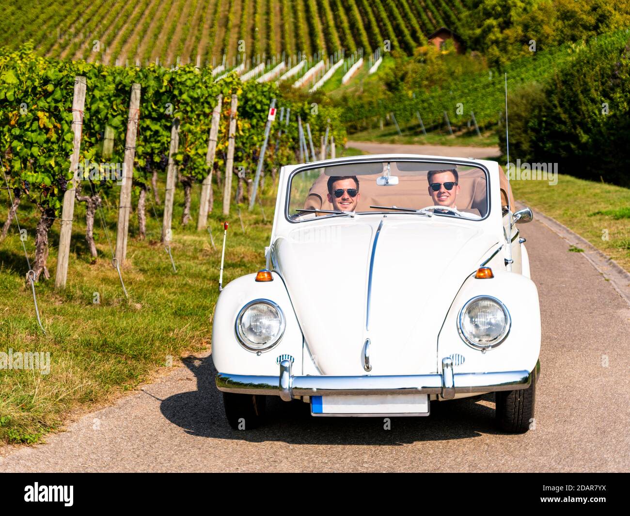 Businessmen in a classic car, driving through vineyards, Remstal, Baden ...