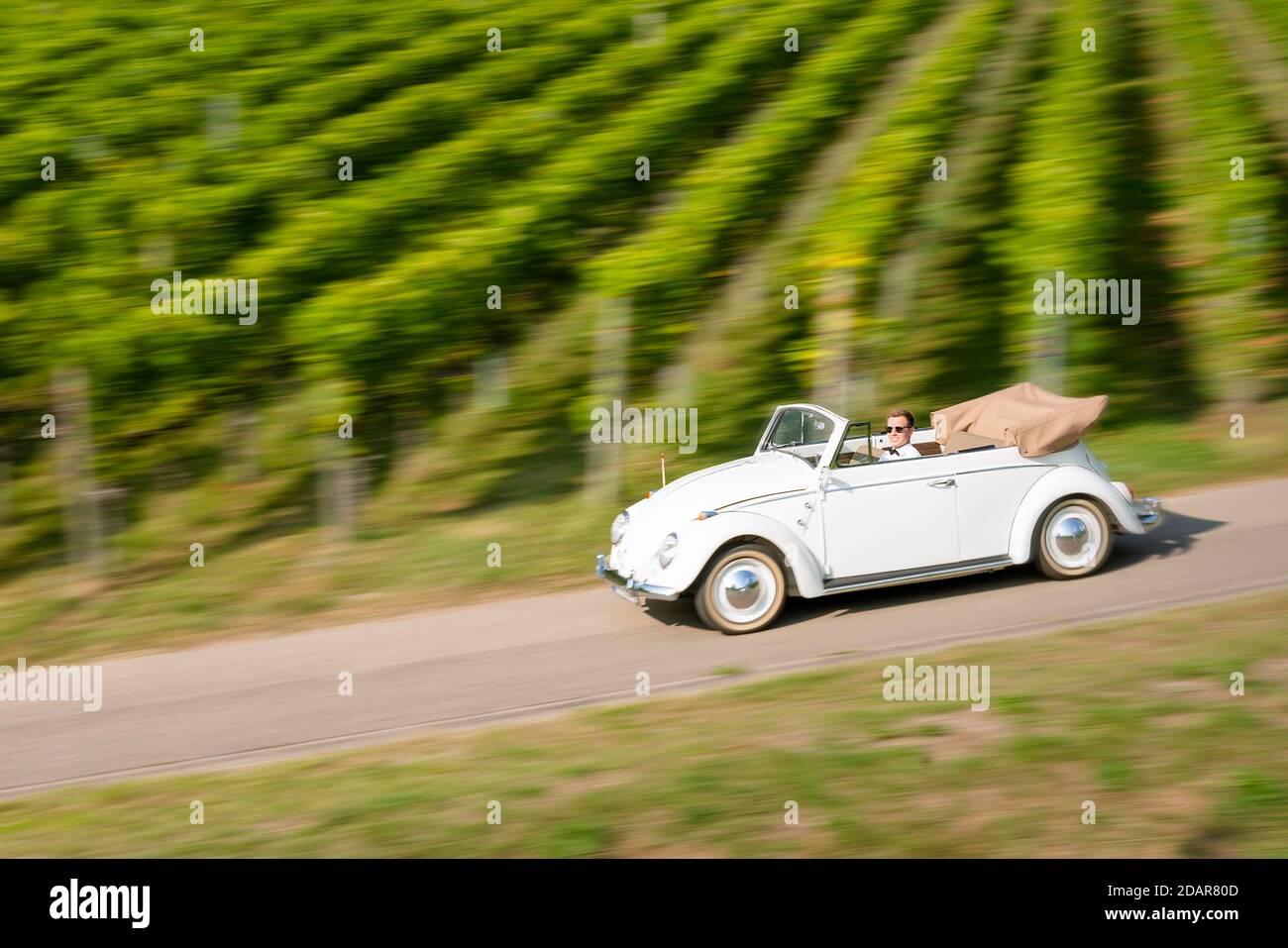 Car driving through vineyards hi-res stock photography and images - Alamy