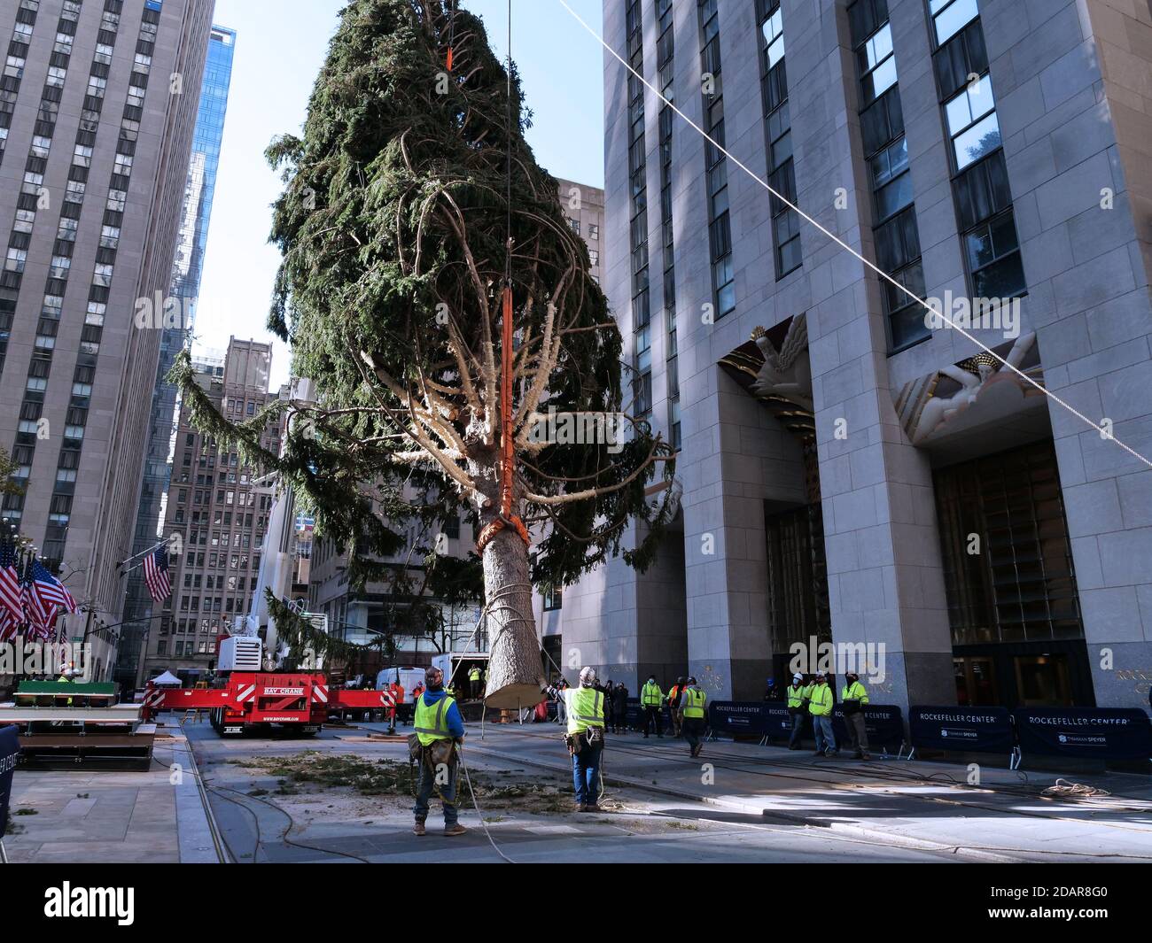 New York, New York, USA. 14th Nov, 2020. 75 foot tall Norway Spruce ...