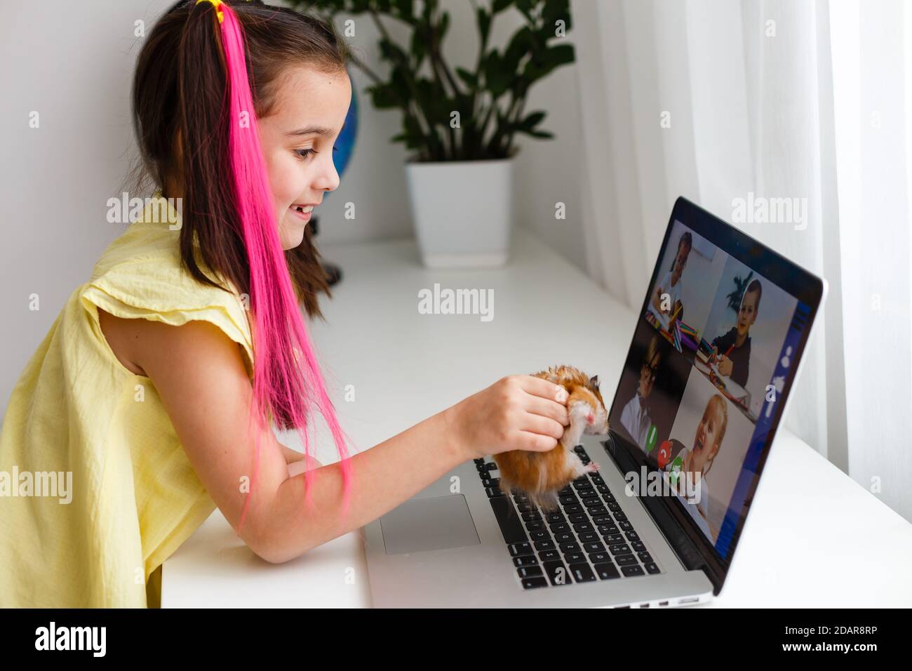 Educate at home. Child girl make homework with pet hamster. Funny ...