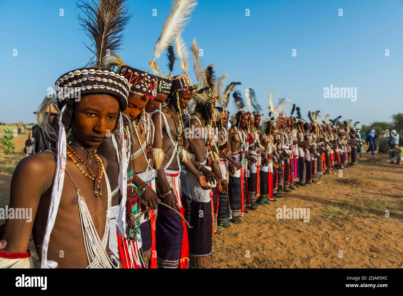 Annual courtship ritual hi-res stock photography and images - Alamy