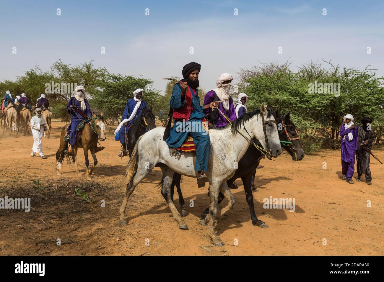 Tuaregs on their camels, Gerewol festival, courtship ritual competition ...