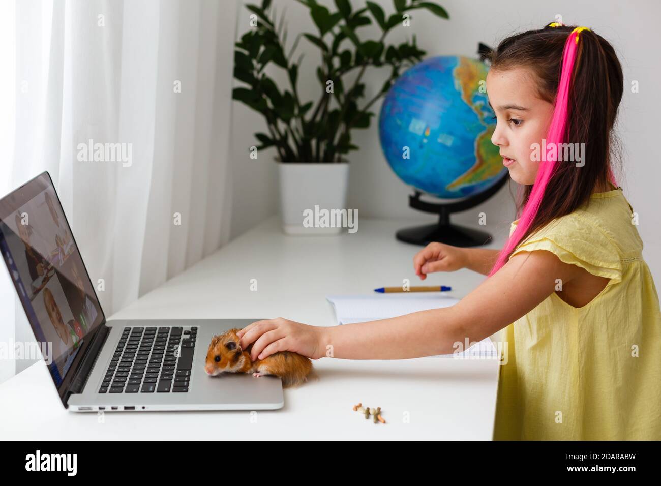 Educate at home. Child girl make homework with pet hamster. Funny ...