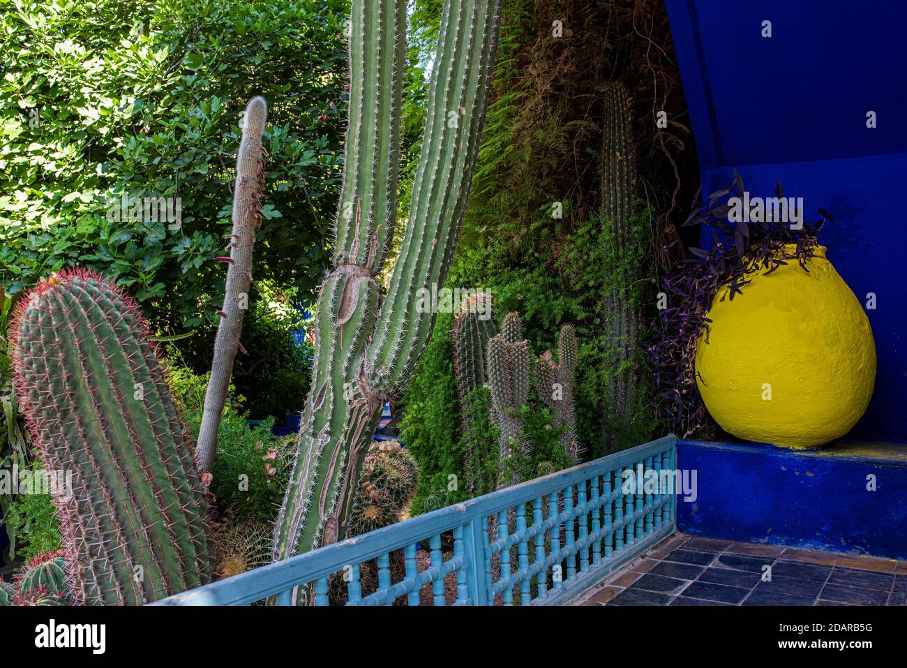 Detail, Jardin Majorelle with blue house of Yves Saint-Laurent ...