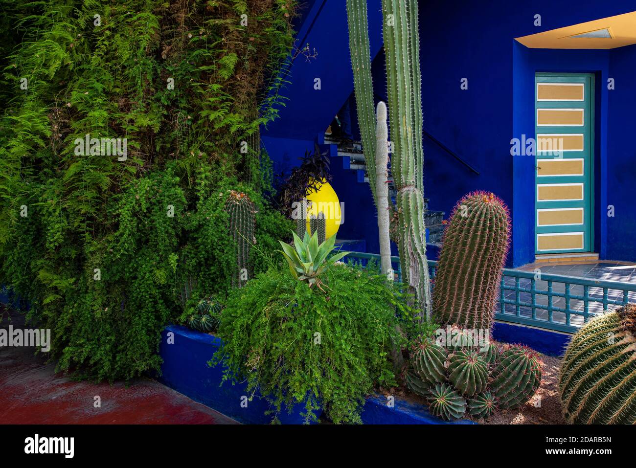 Detail, Jardin Majorelle with blue house of Yves Saint-Laurent ...
