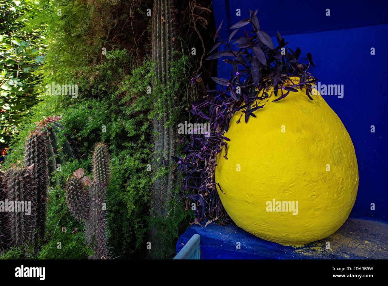 Detail, Jardin Majorelle with blue house of Yves Saint-Laurent ...