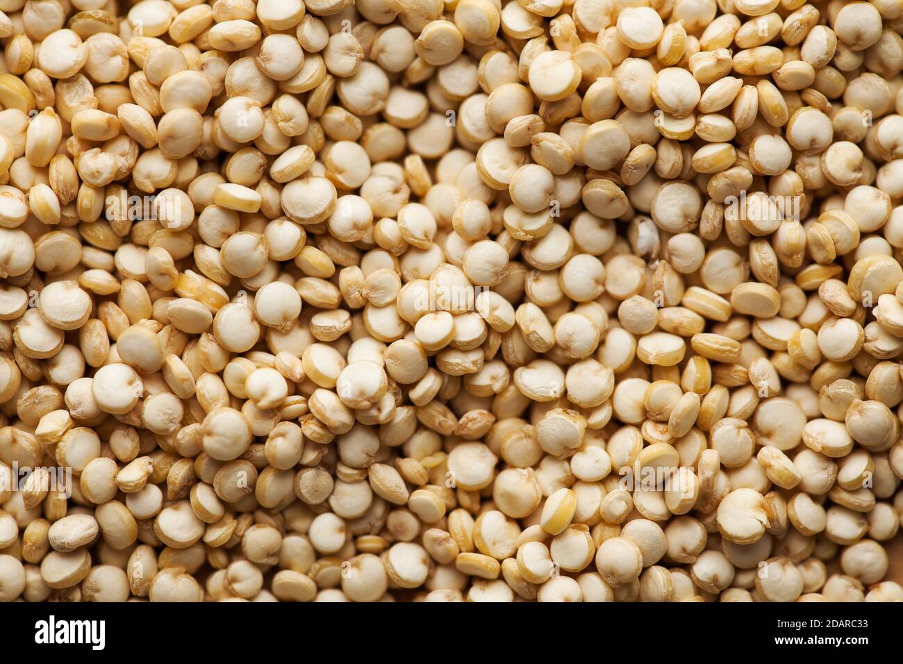 Quinoa logo hi-res stock photography and images - Alamy