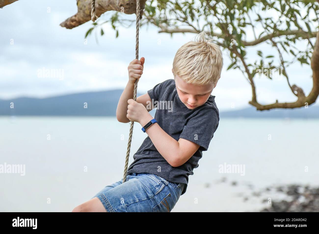 Blonde little boy pulling and playing with a rope on the background of ...