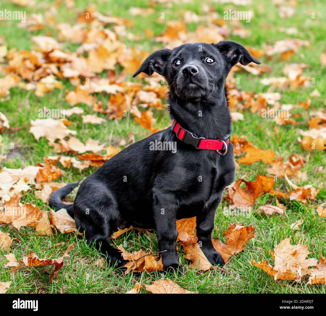 Don't look back, there's a ghost behind you. I'm not scared either ...