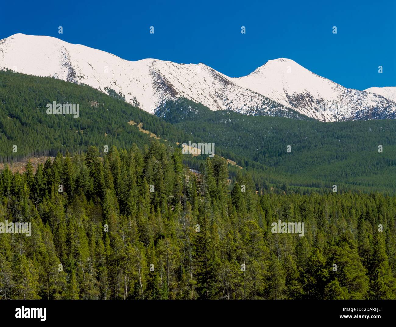 highland mountains in the beaverhead-deer lodge national forest near ...
