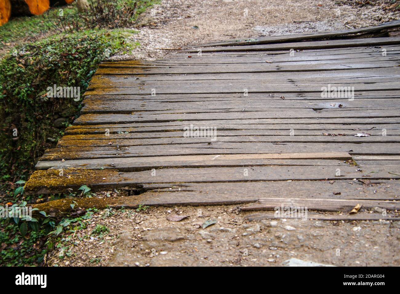 Old wooden plank bridge over a small narrow river in a park covered in ...