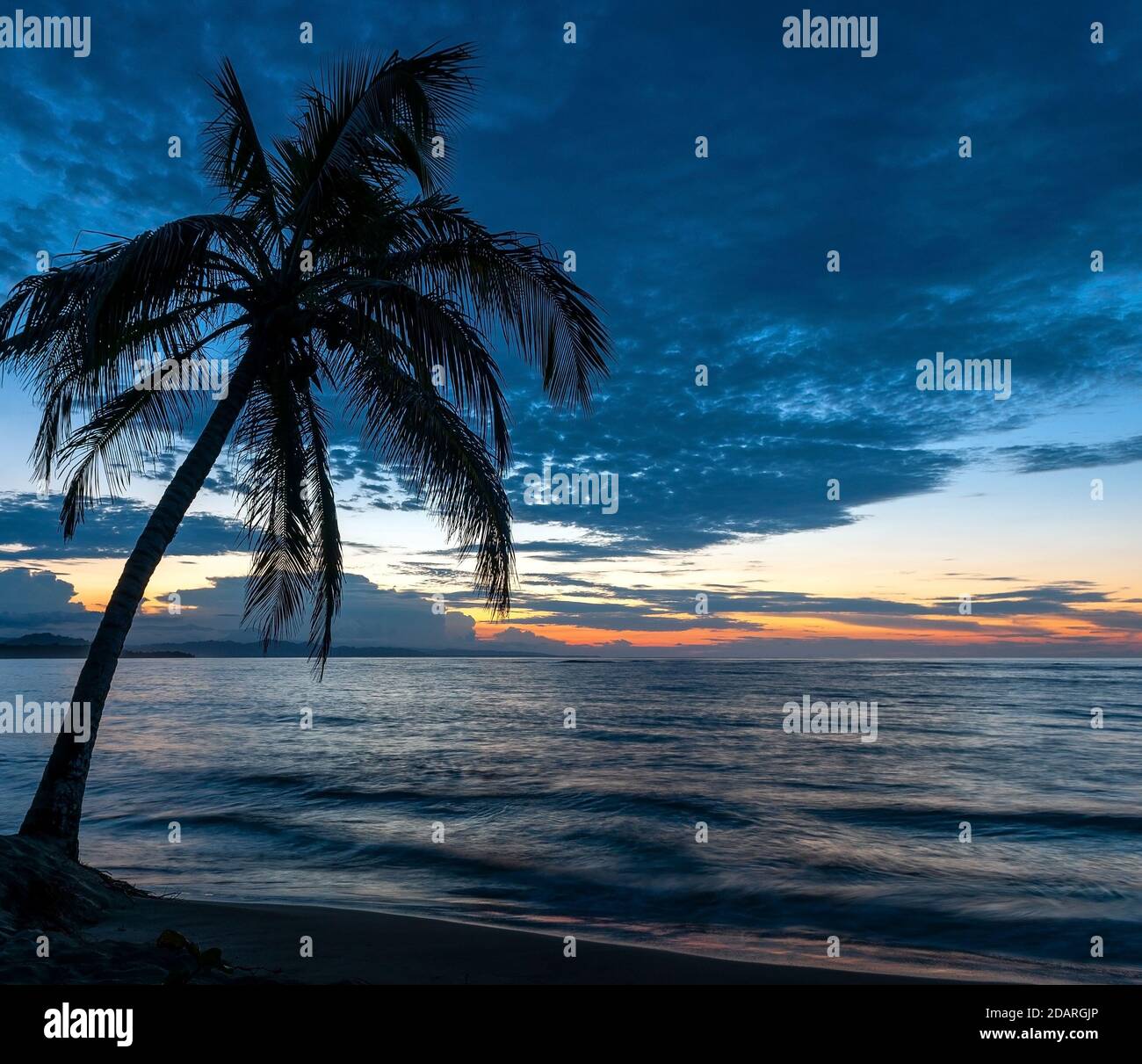 Palm tree at sunset by the Caribbean Sea, Manzanillo Beach, Costa Rica ...