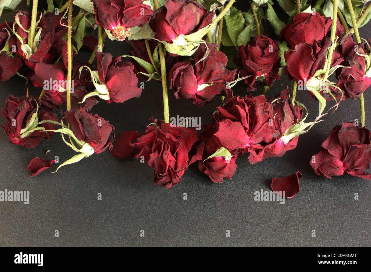 Glowing Red Rose Flower Bouquet High Resolution Stock Photography and ...