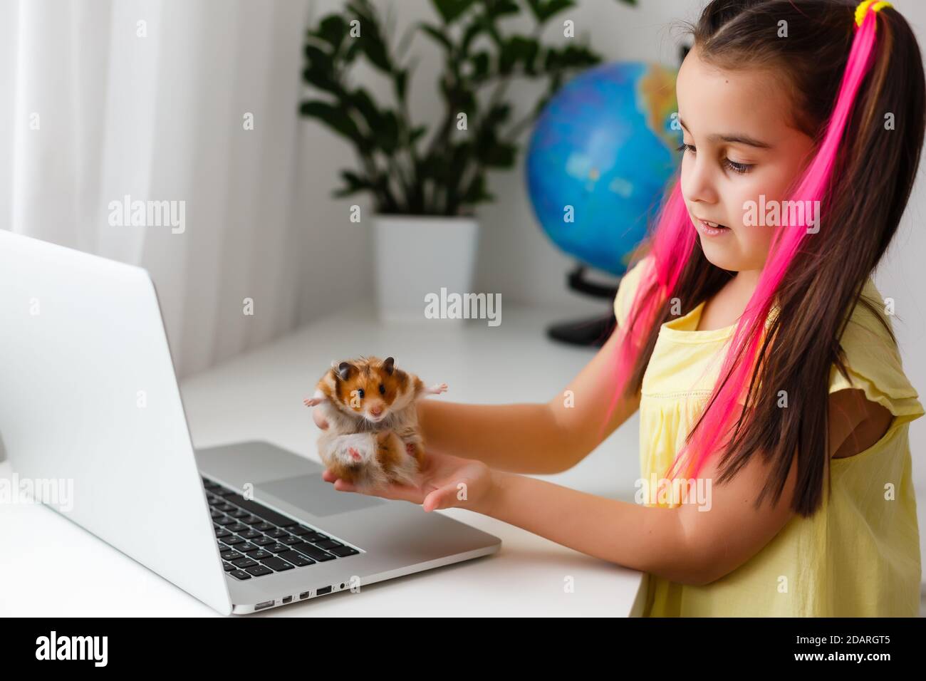Cheerful young little girl with a pet hamster using laptop computer ...