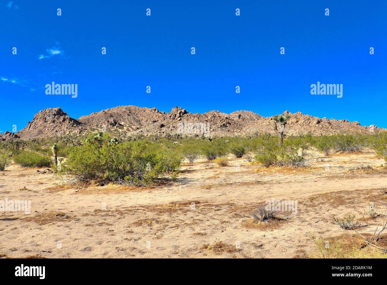 Desert Landscape in the Southern California City Lake Los Angeles with ...