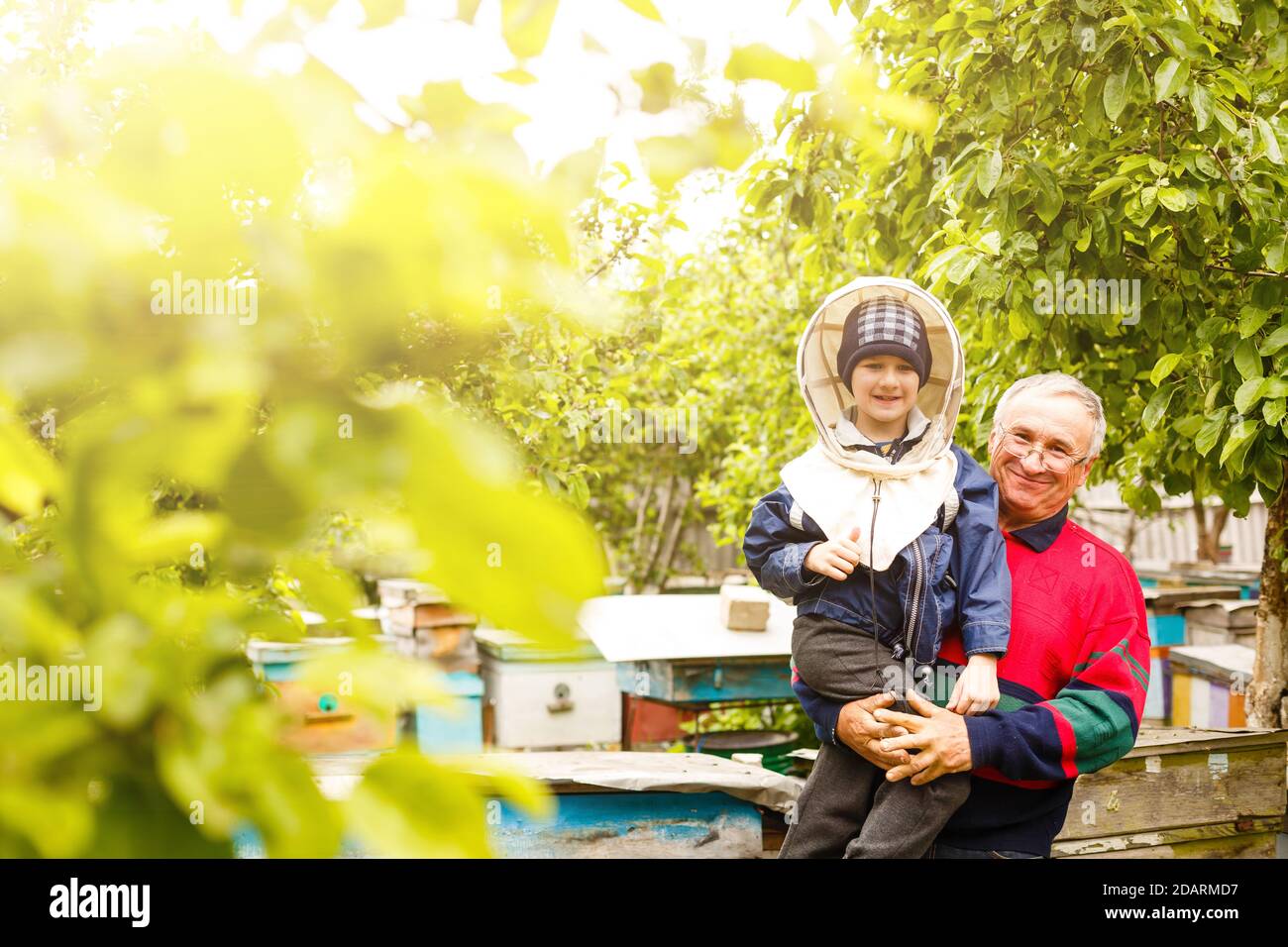 Experienced beekeeper grandfather teaches his grandson caring for bees ...