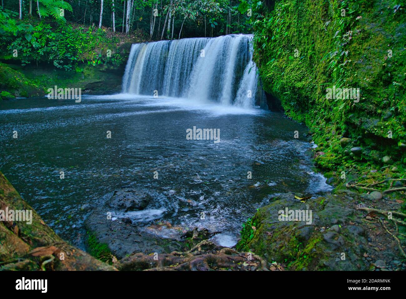 beautiful waterfall in the Amazonas near Coca in Ecuador Stock Photo ...