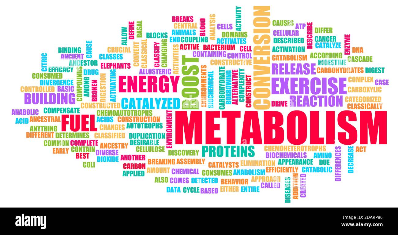 Metabolism in Your Body Chemical Reaction Concept Stock Photo - Alamy