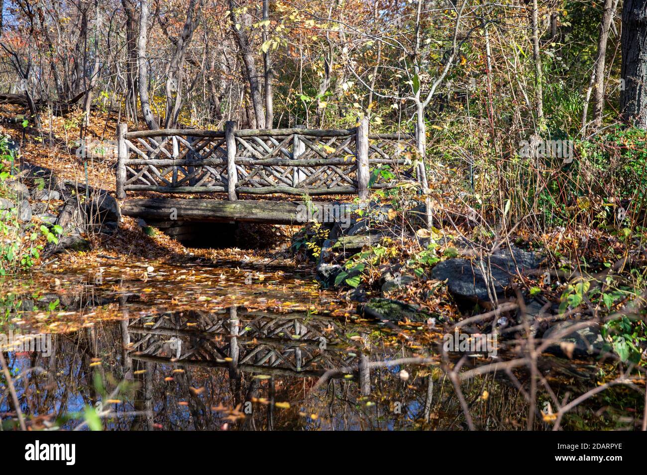 Rustic Bridges in the Ramble in Central Park, New York City Stock Photo ...