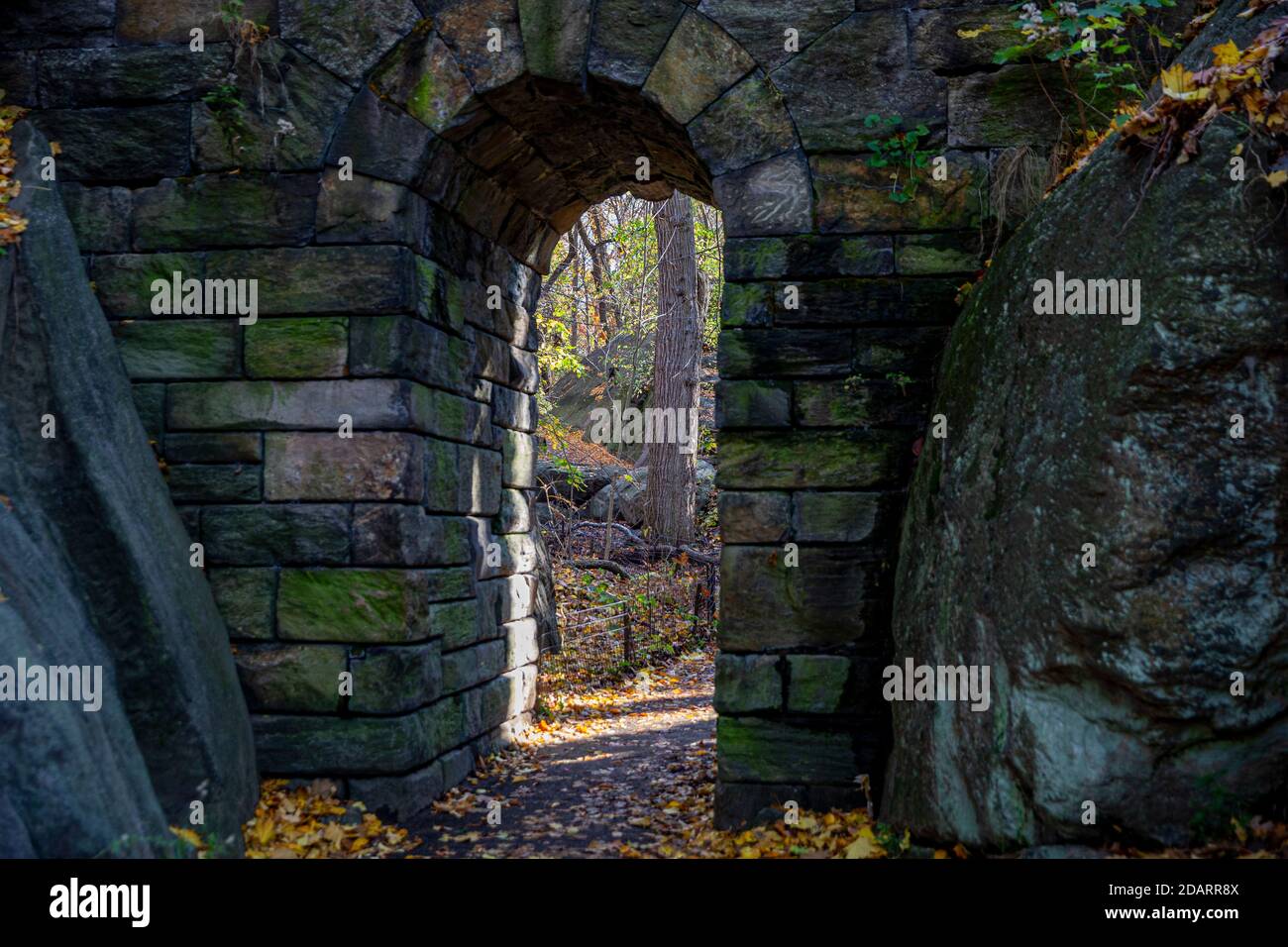The Ramble Arch in Central Park, New York City Stock Photo - Alamy