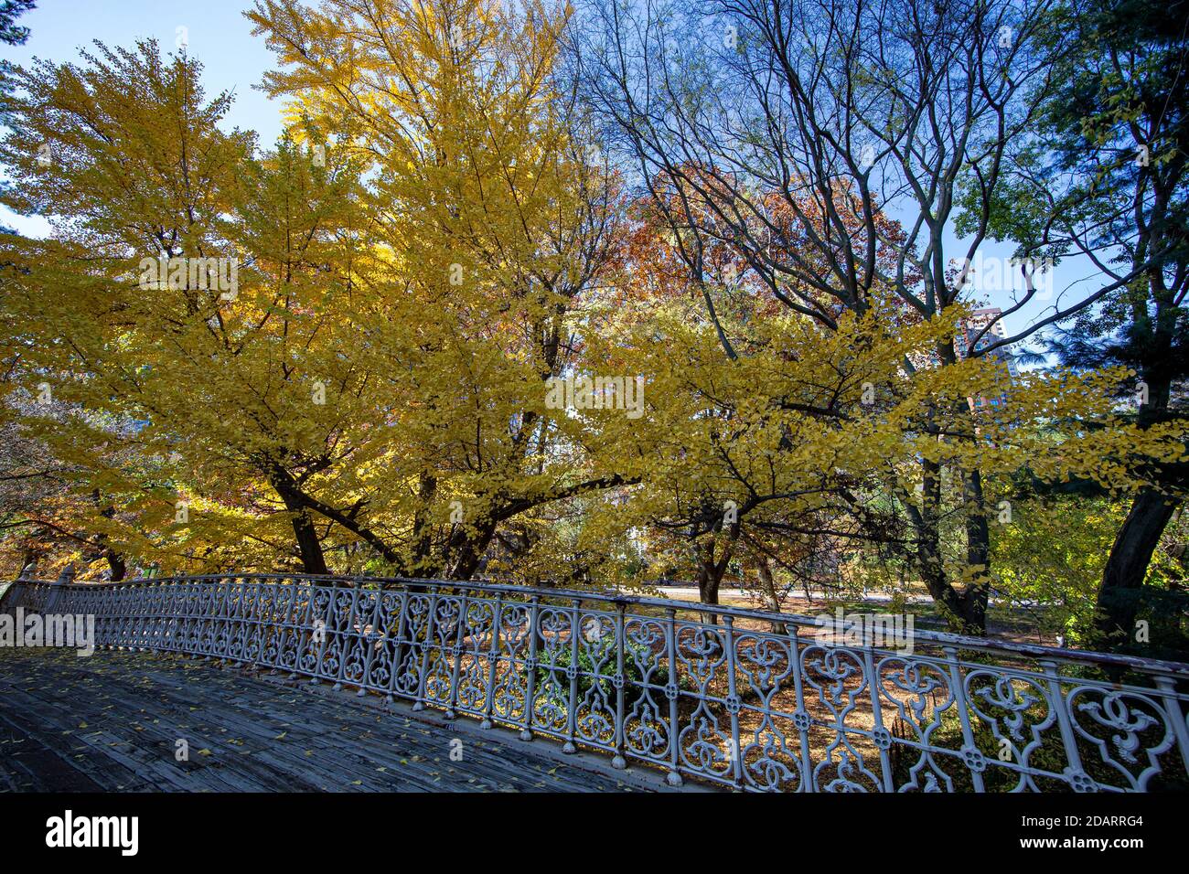 The Pinebank Arch Bridge in Central Park, New York City Stock Photo - Alamy