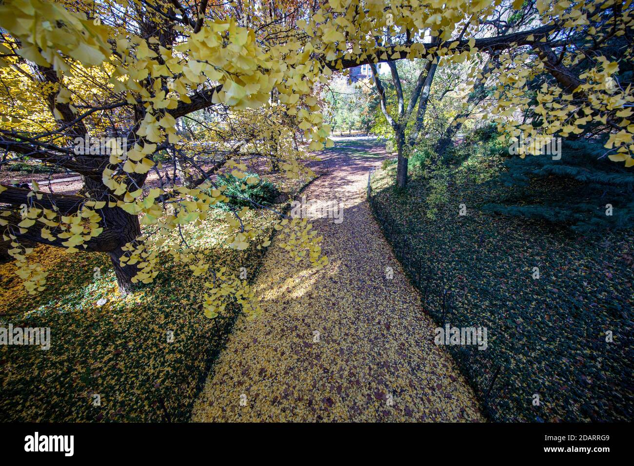 The path beneath the Pinebank Arch Bridge in Central Park, New York ...
