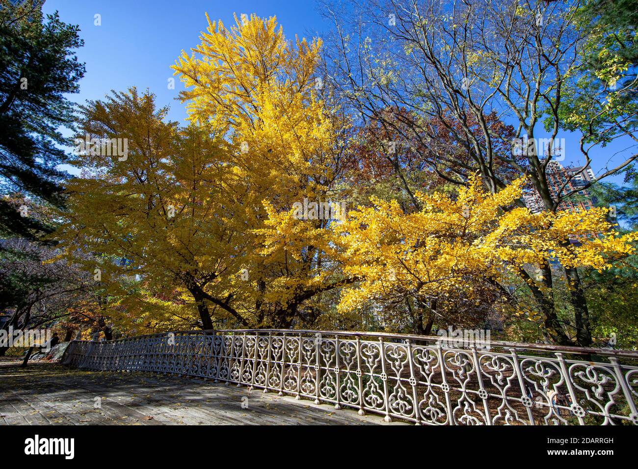 The Pinebank Arch Bridge in Central Park, New York City Stock Photo - Alamy
