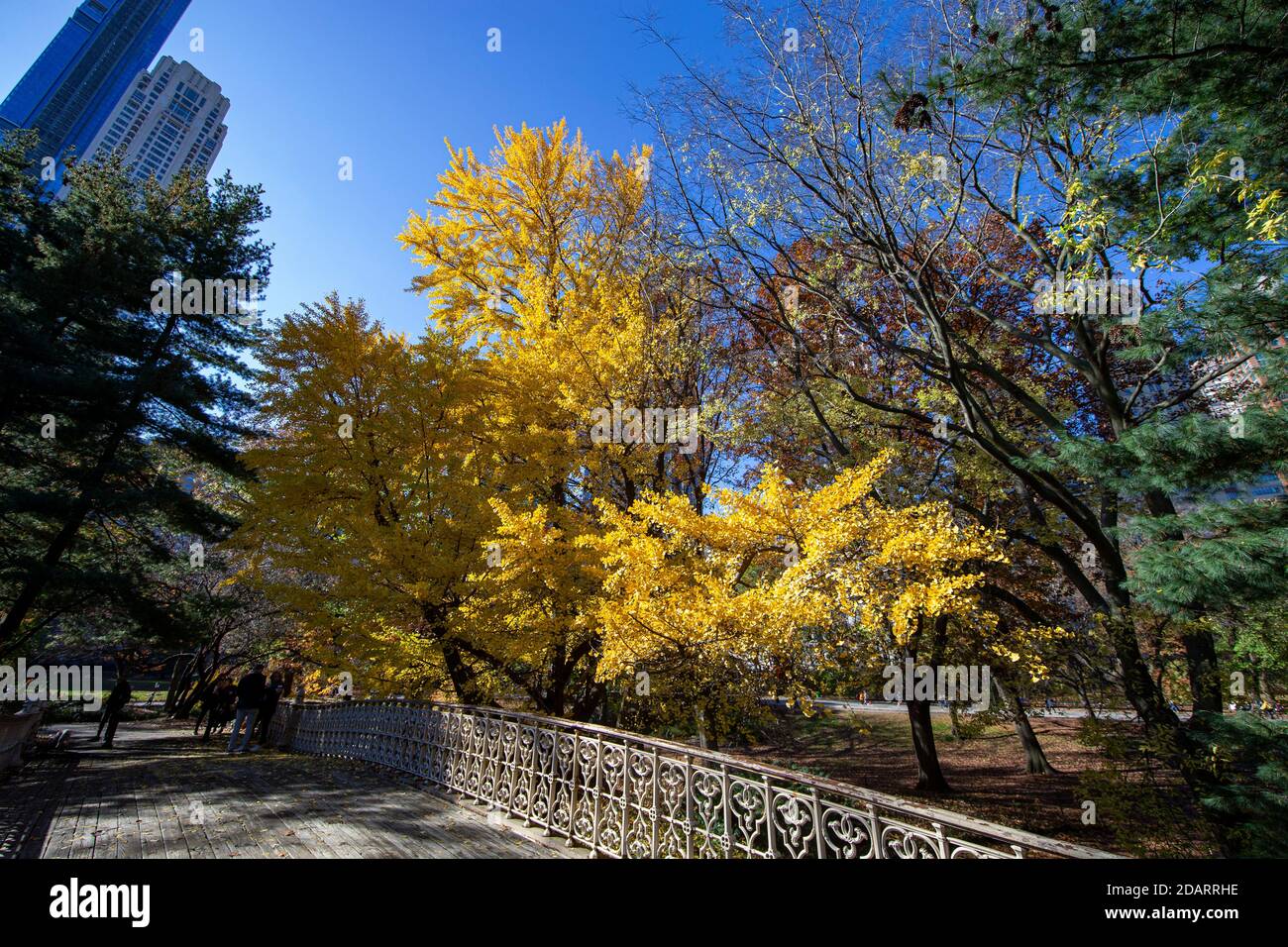 The Pinebank Arch Bridge in Central Park, New York City Stock Photo - Alamy