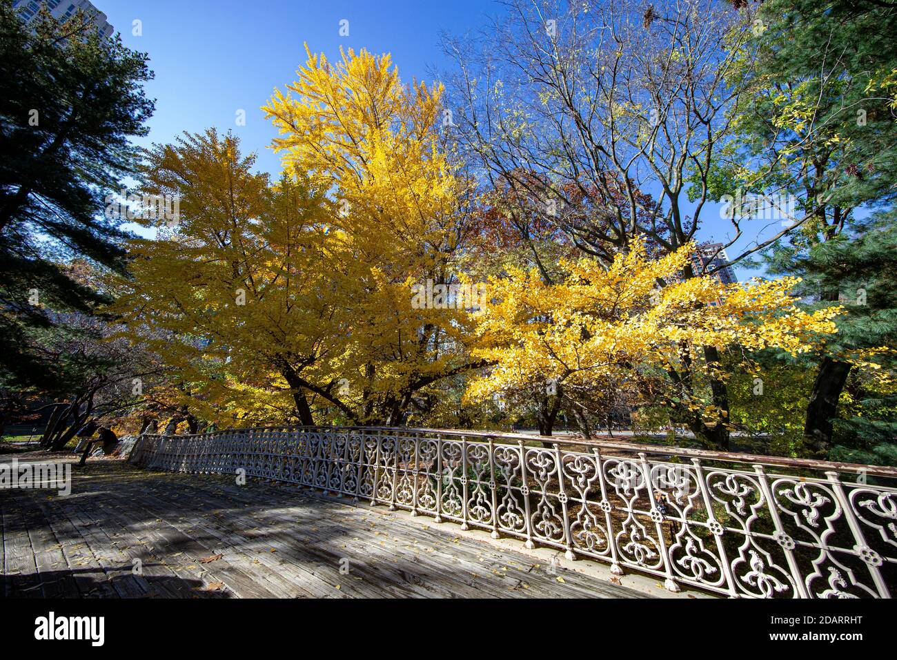 The Pinebank Arch Bridge in Central Park, New York City Stock Photo - Alamy