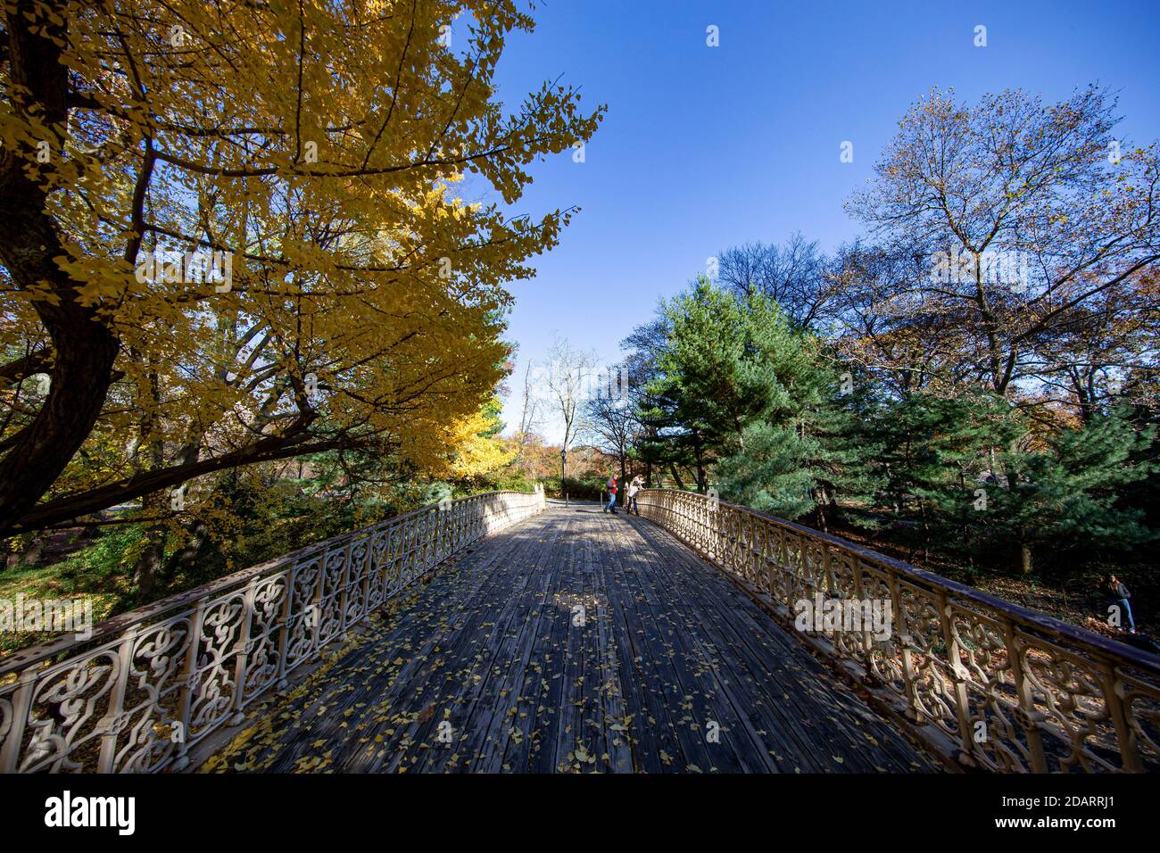 The Pinebank Arch Bridge in Central Park, New York City Stock Photo - Alamy