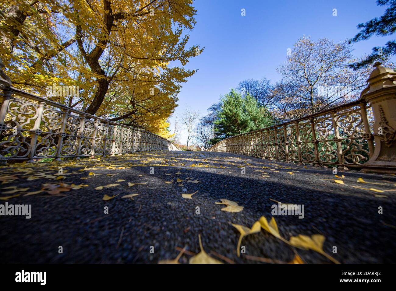 The Pinebank Arch Bridge in Central Park, New York City Stock Photo - Alamy
