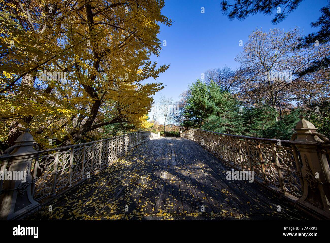 The Pinebank Arch Bridge in Central Park, New York City Stock Photo - Alamy