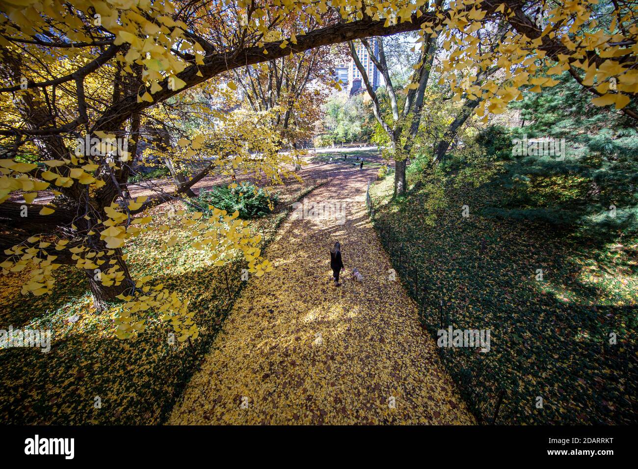 The path beneath the Pinebank Arch Bridge in Central Park, New York ...