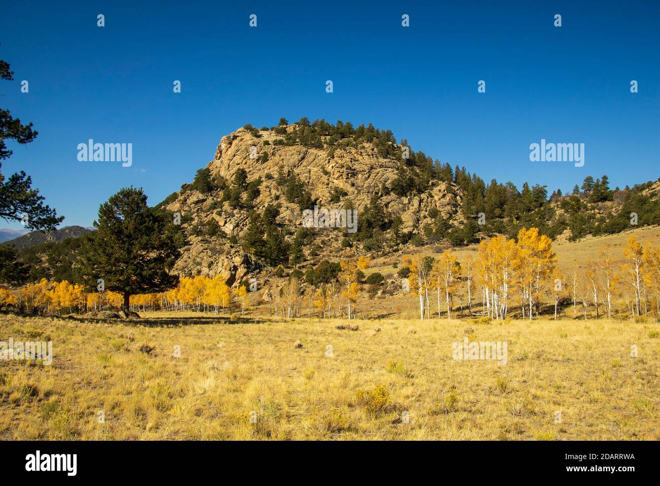 Buena Vista Fall 2020 Stock Photo - Alamy