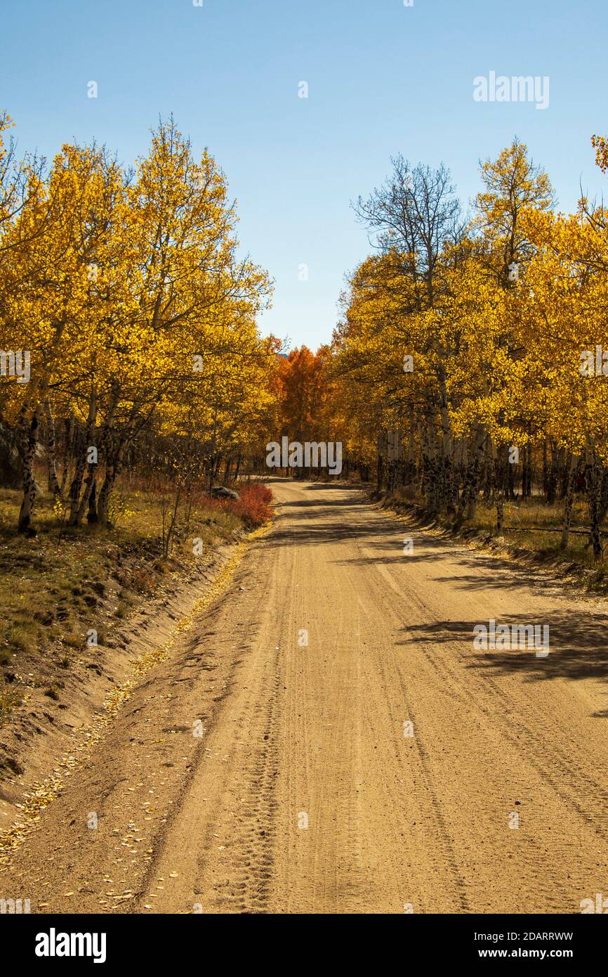 Buena Vista Fall 2020 Stock Photo - Alamy