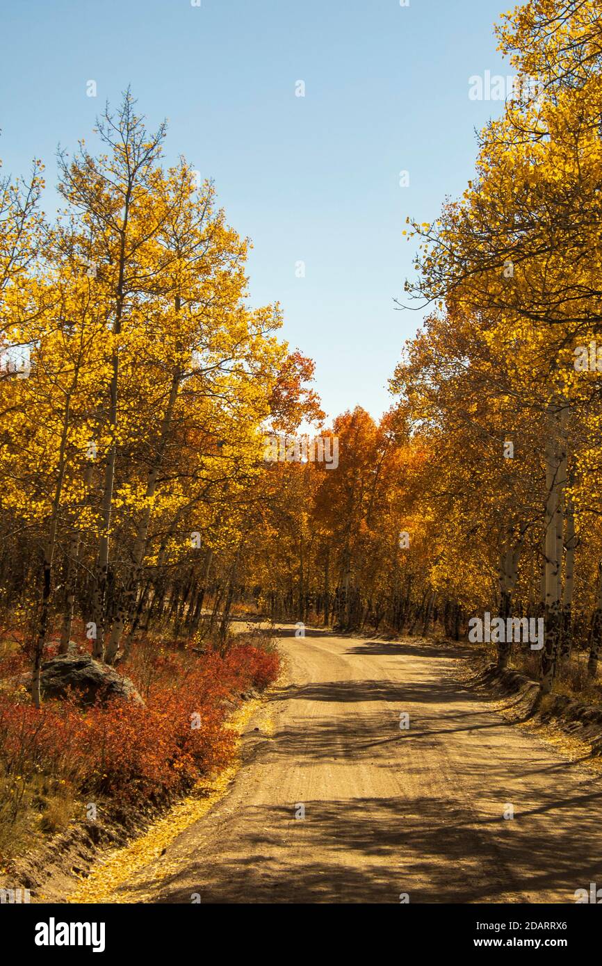 Buena Vista Fall 2020 Stock Photo - Alamy