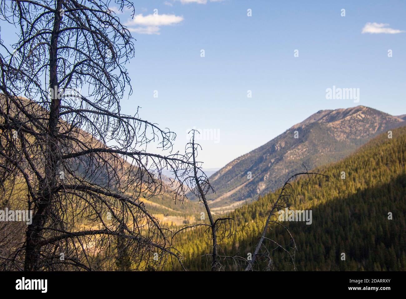 Buena Vista Fall 2020 Stock Photo - Alamy