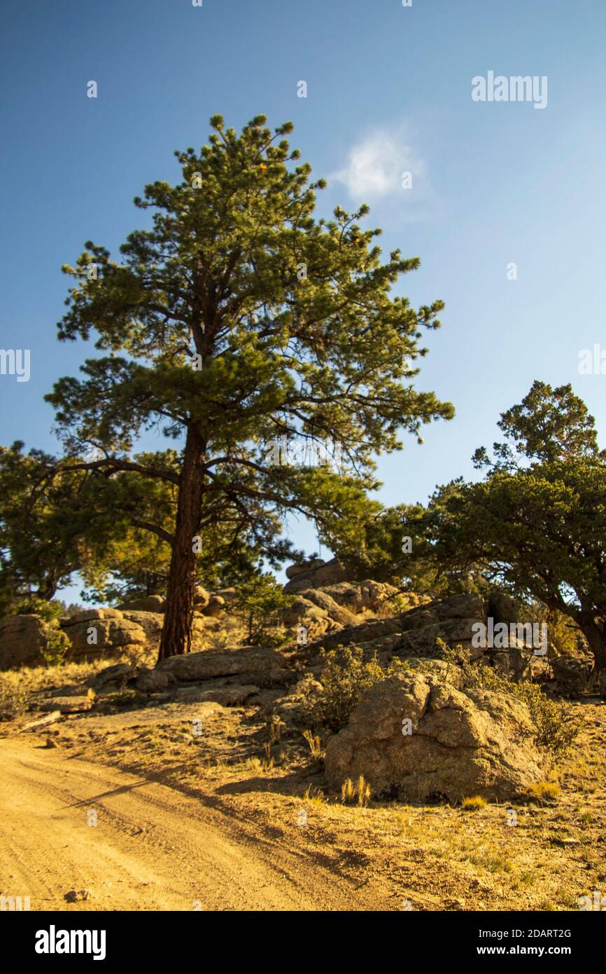 Buena Vista Fall 2020 Stock Photo - Alamy