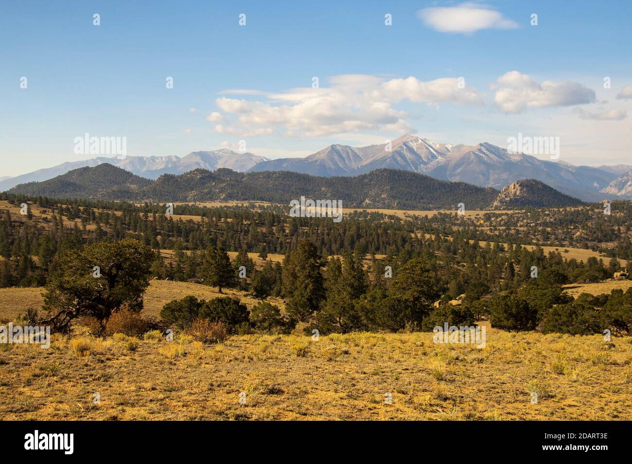 Buena Vista Fall 2020 Stock Photo - Alamy