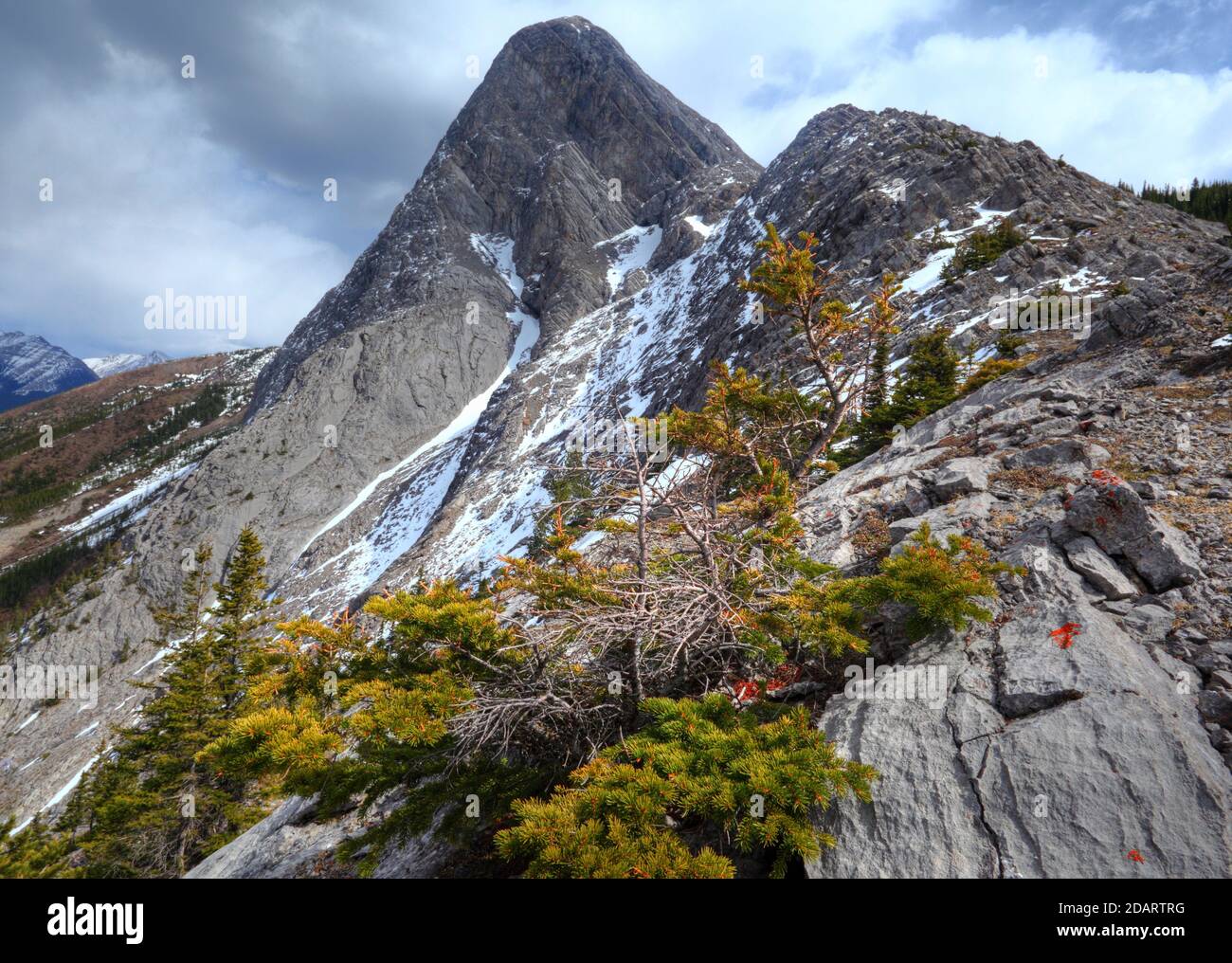 Ice and snow Stock Photo - Alamy