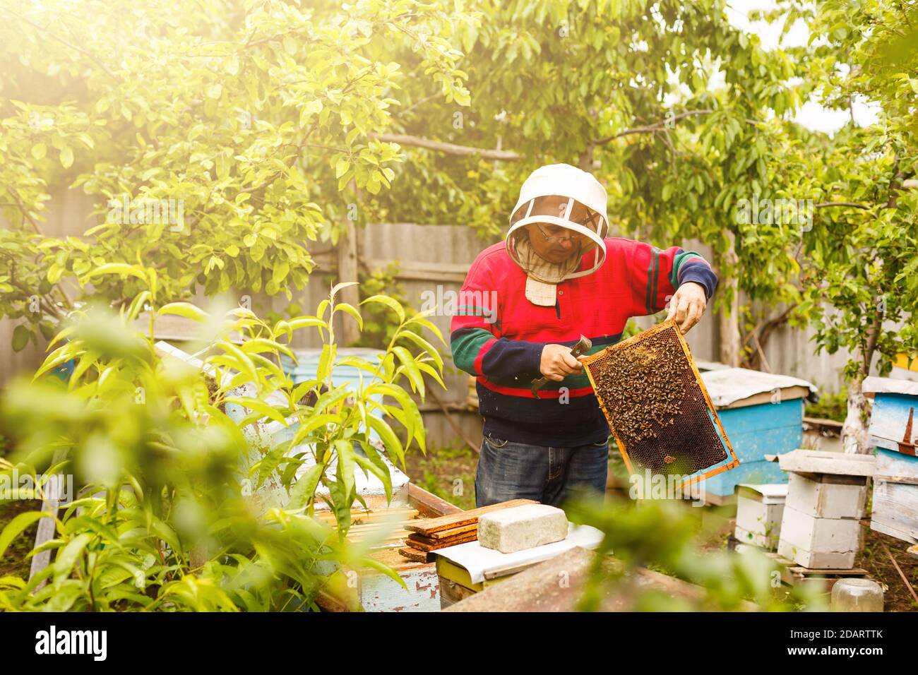 White person holding bug hi-res stock photography and images - Alamy