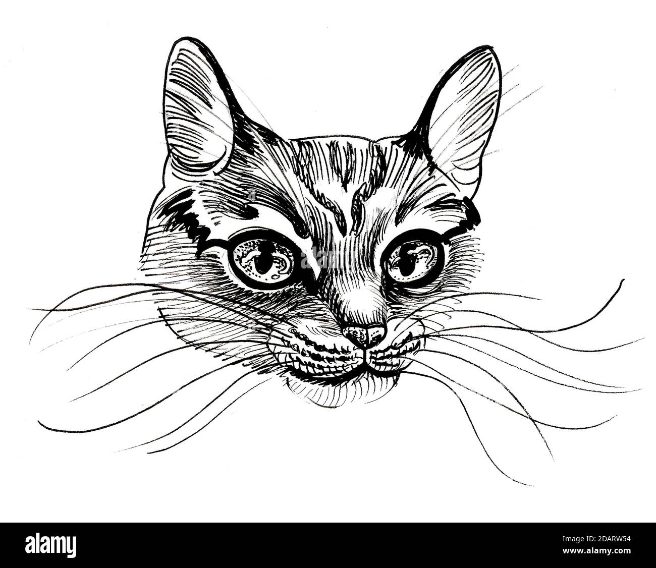 Cute cat head. Ink black and white drawing Stock Photo - Alamy