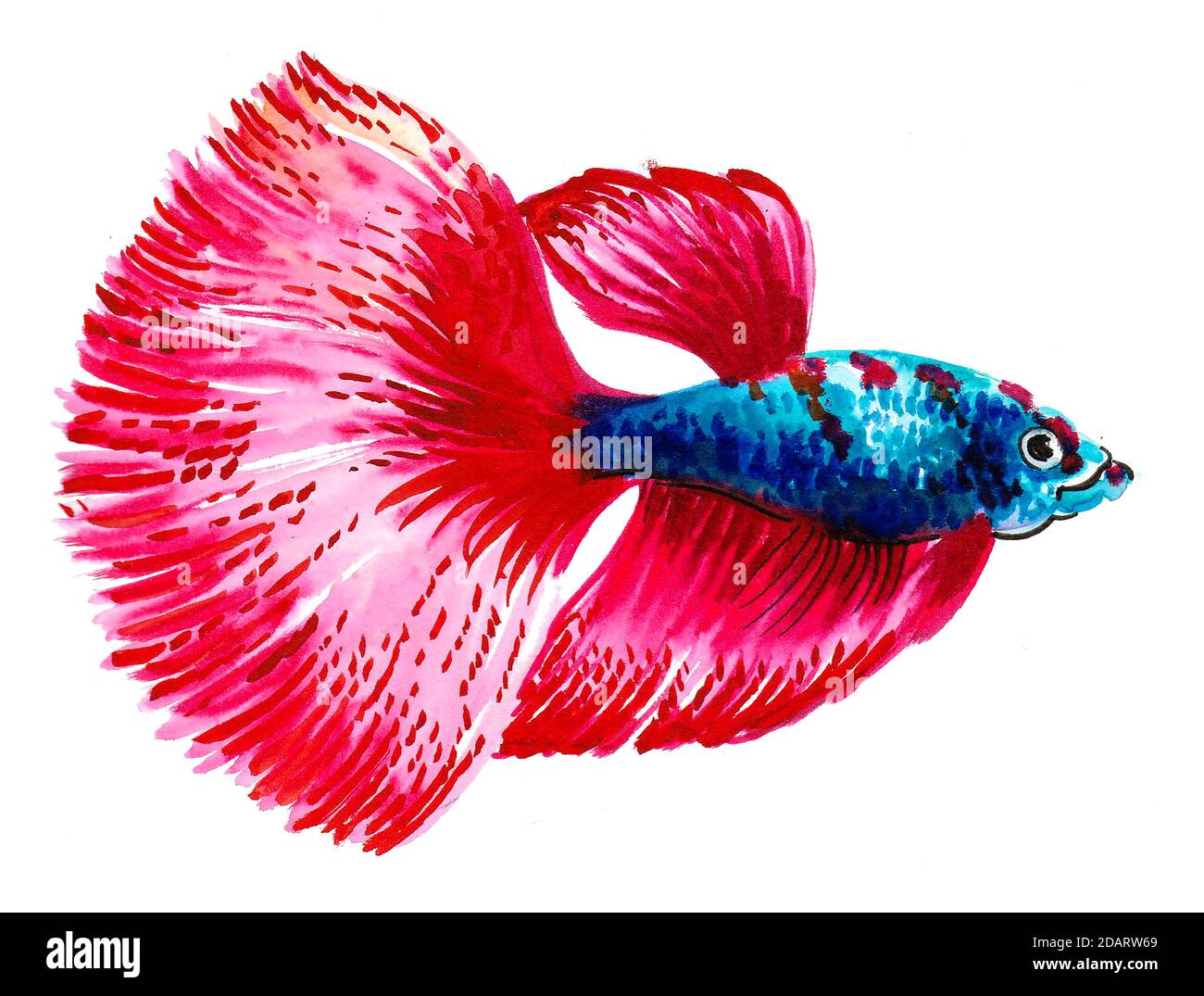 Colorful tropical fish. Ink and watercolor drawing Stock Photo - Alamy