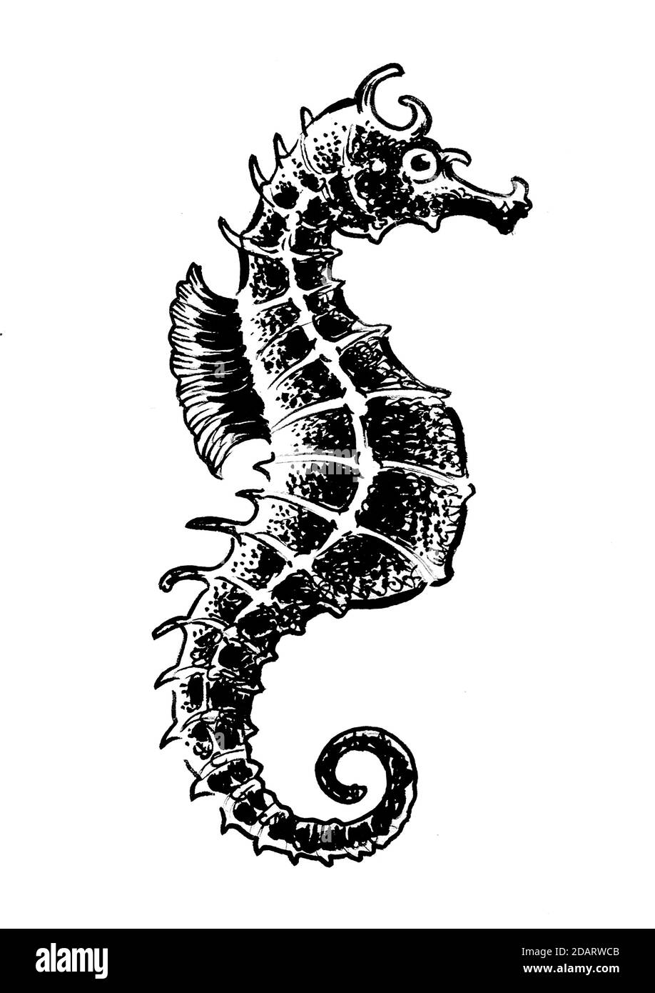 Seahorse fish. Ink black and white drawing Stock Photo - Alamy