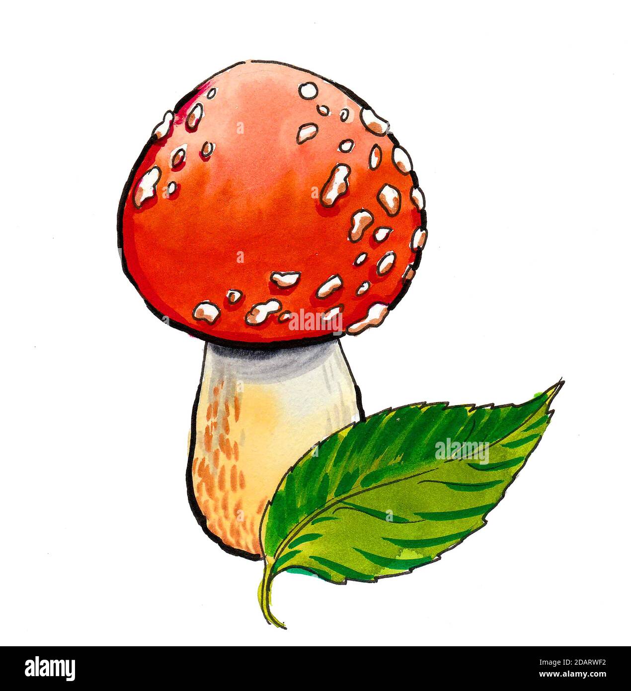 Red fly agaric mushroom and green leaf. Ink and watercolor drawing ...