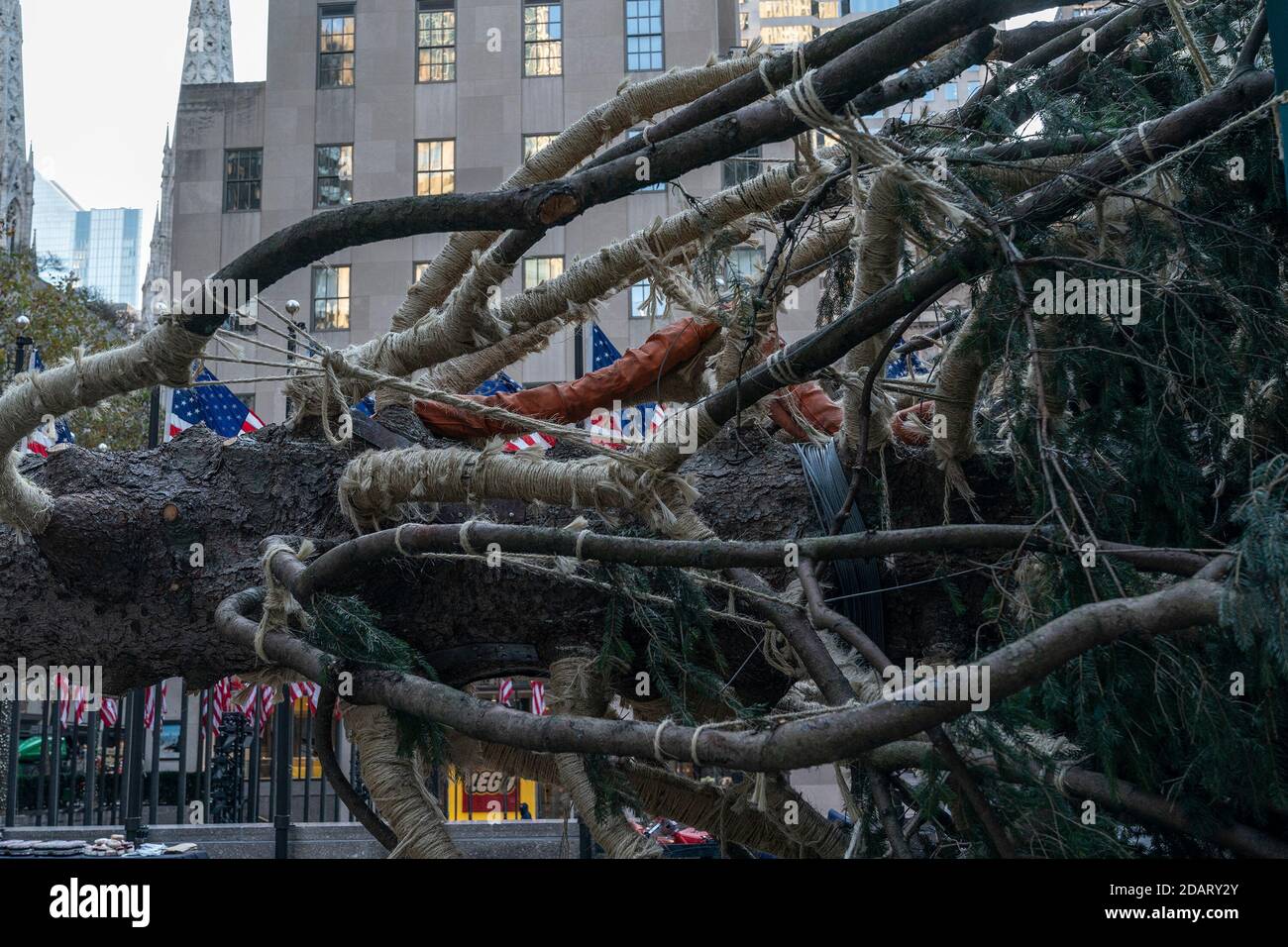 season 75-foot Rockefeller Center Christmas, Norway. , . Spruce Tree ...
